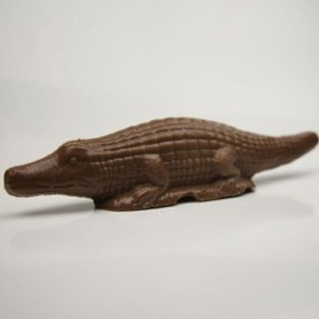 Chocolate Alligator | Webb's Candy Shop