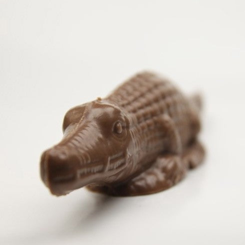 Chocolate Alligator | Webb's Candy Shop