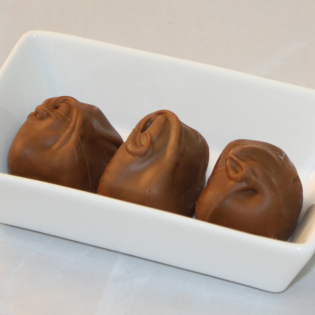 Swiss Milk Chocolate Squares | Webb's Candy Shop